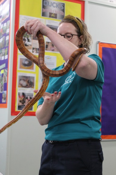 ZooLab – Rainforest Discovery - Latest News - Mary Astell Academy